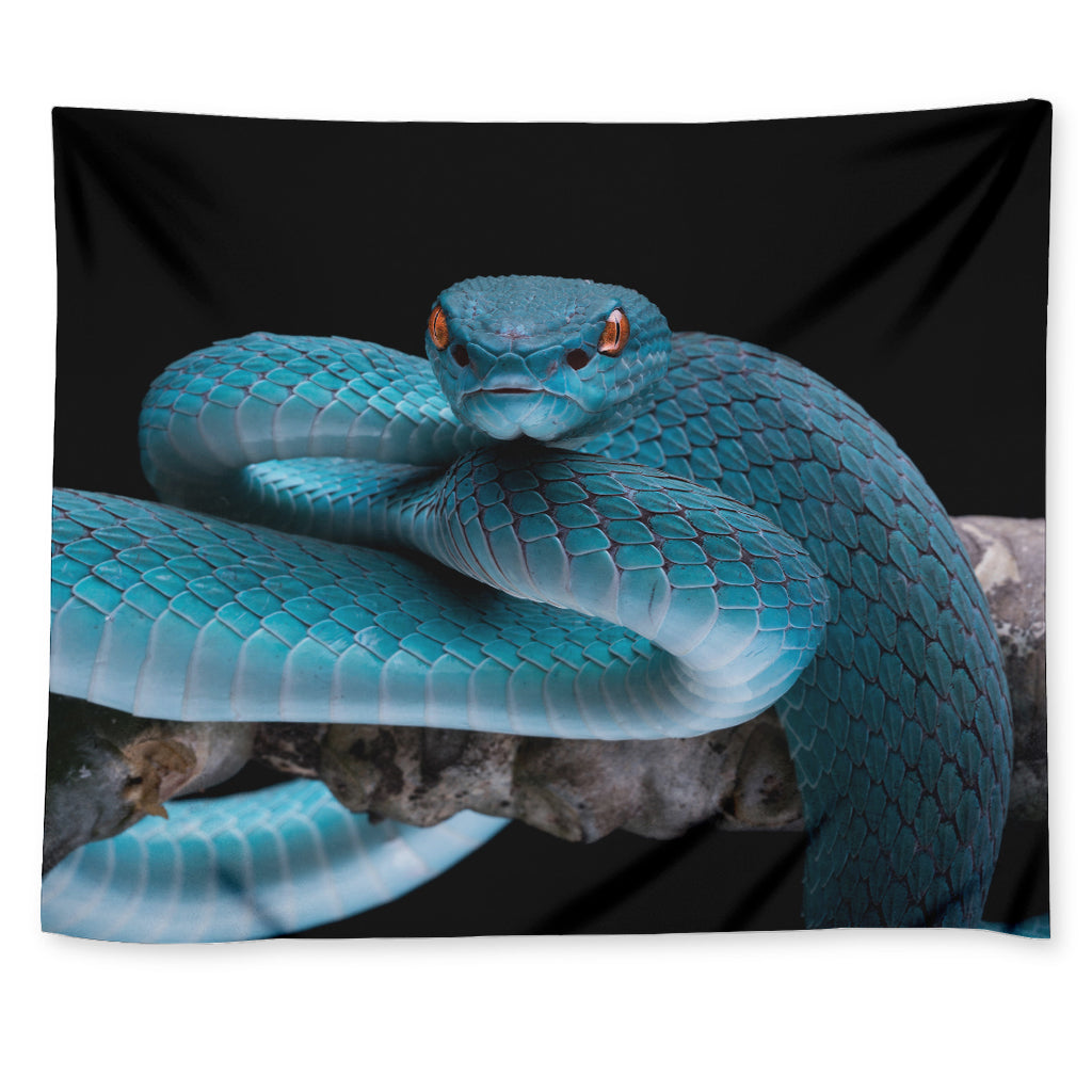 Blue Pit Viper Snake Print Tapestry – GearFrost