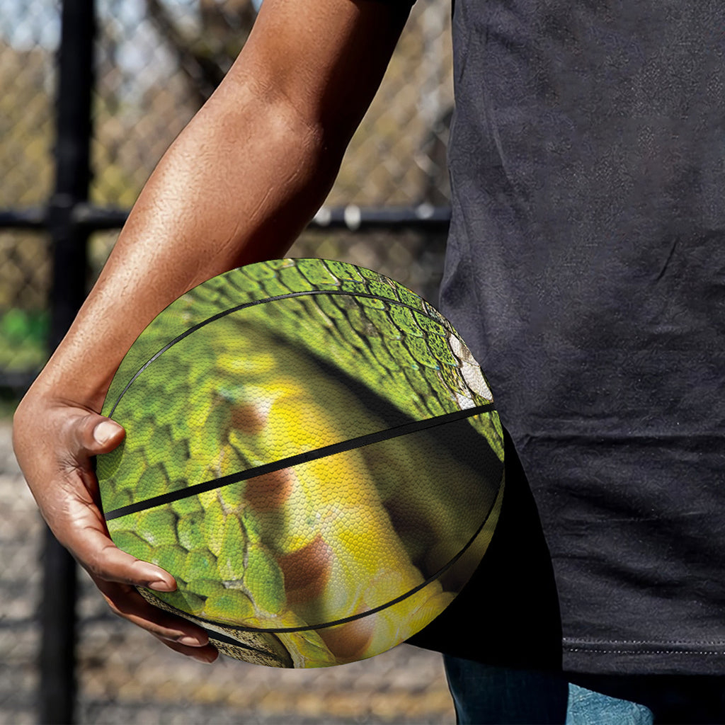 Emerald Tree Boa Snake Print Basketball – GearFrost