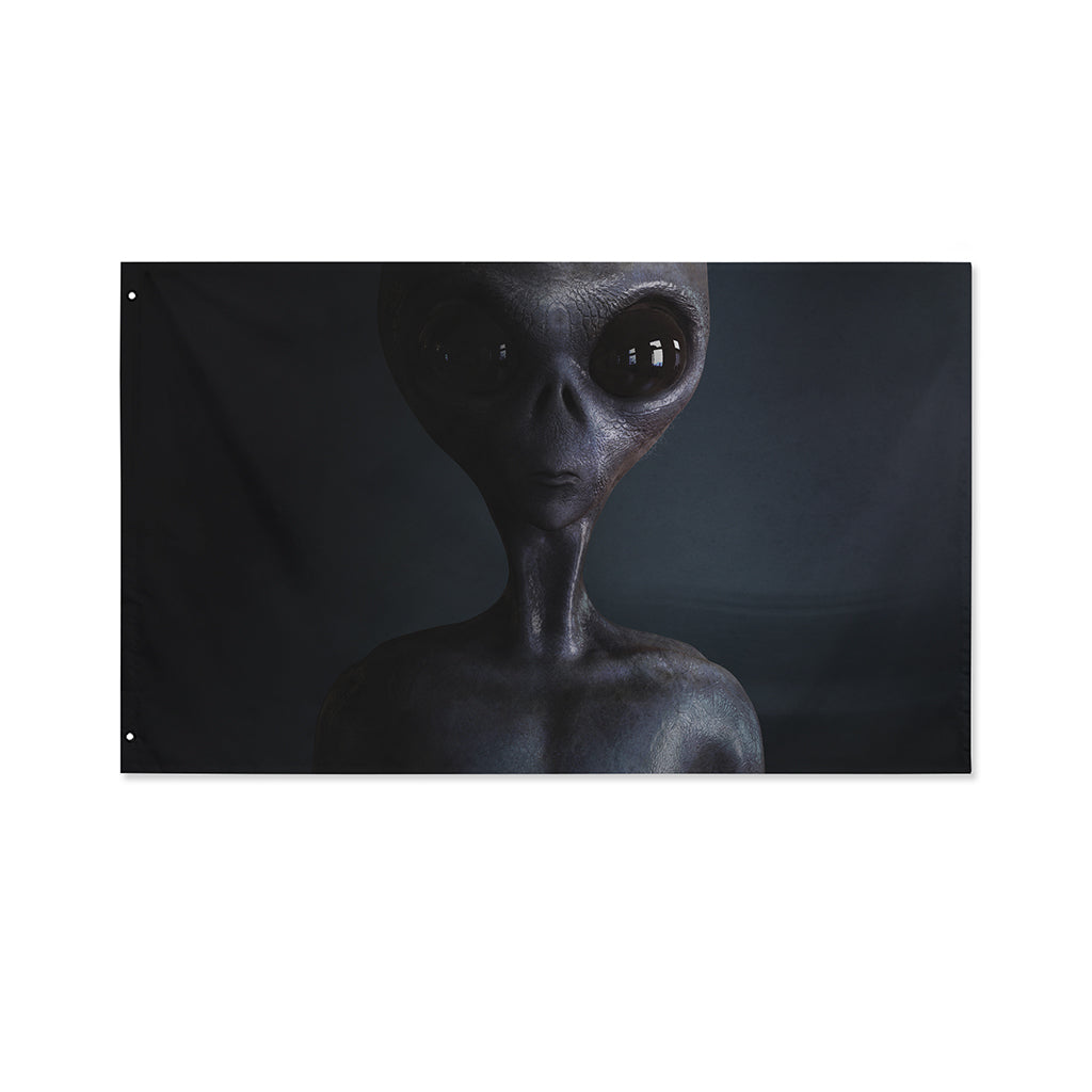 Scary Grey Alien 3D Print Polyester Flag – GearFrost